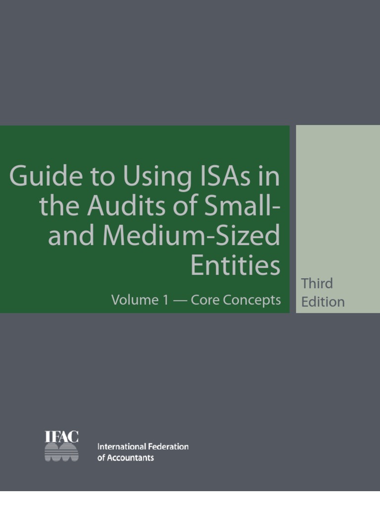 ISA Audit Guide Volume 1 3rd Edition FINAL