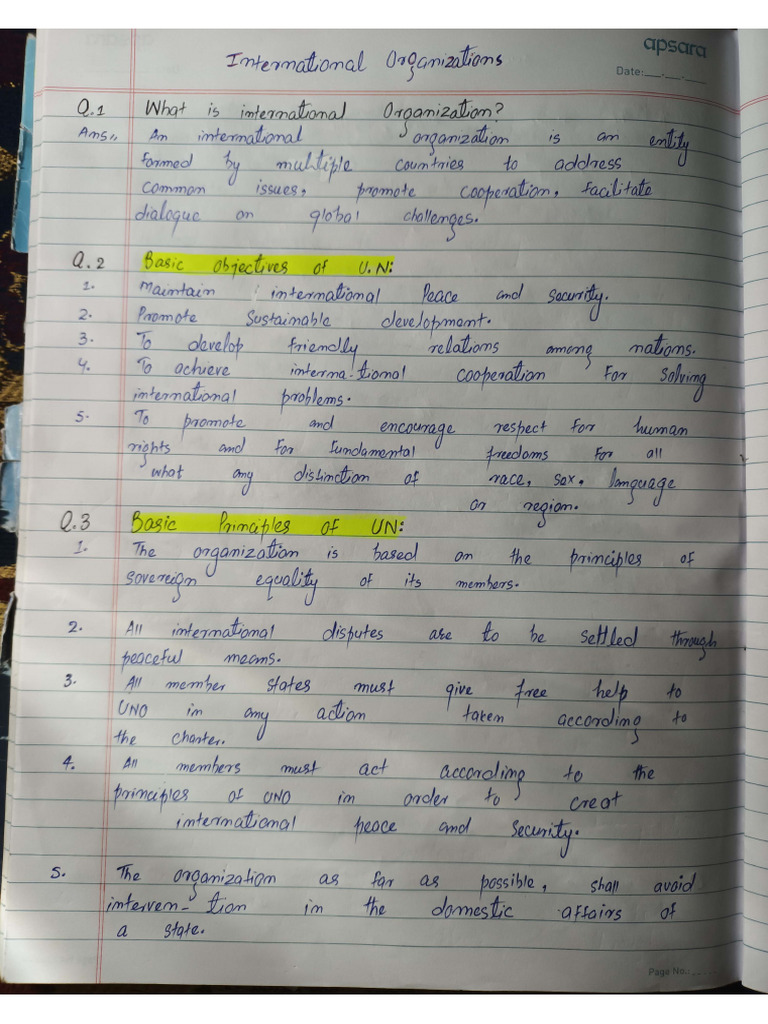 International Organizations | PDF