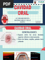 Anatomía del Paladar Duro y Blando | PDF