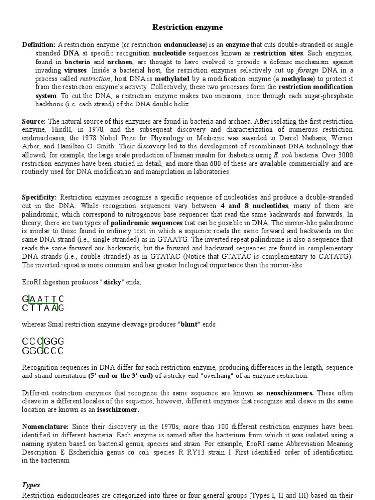 Restriction Enzyme | PDF | Restriction Enzyme | Dna