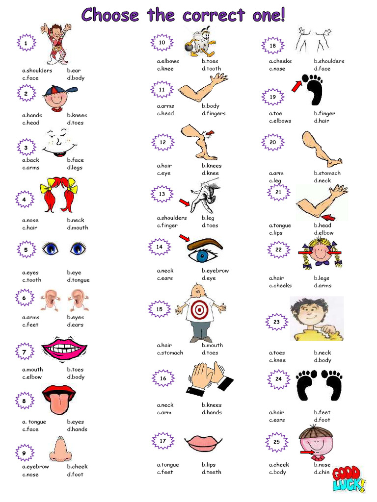 body-parts-tests | PDF