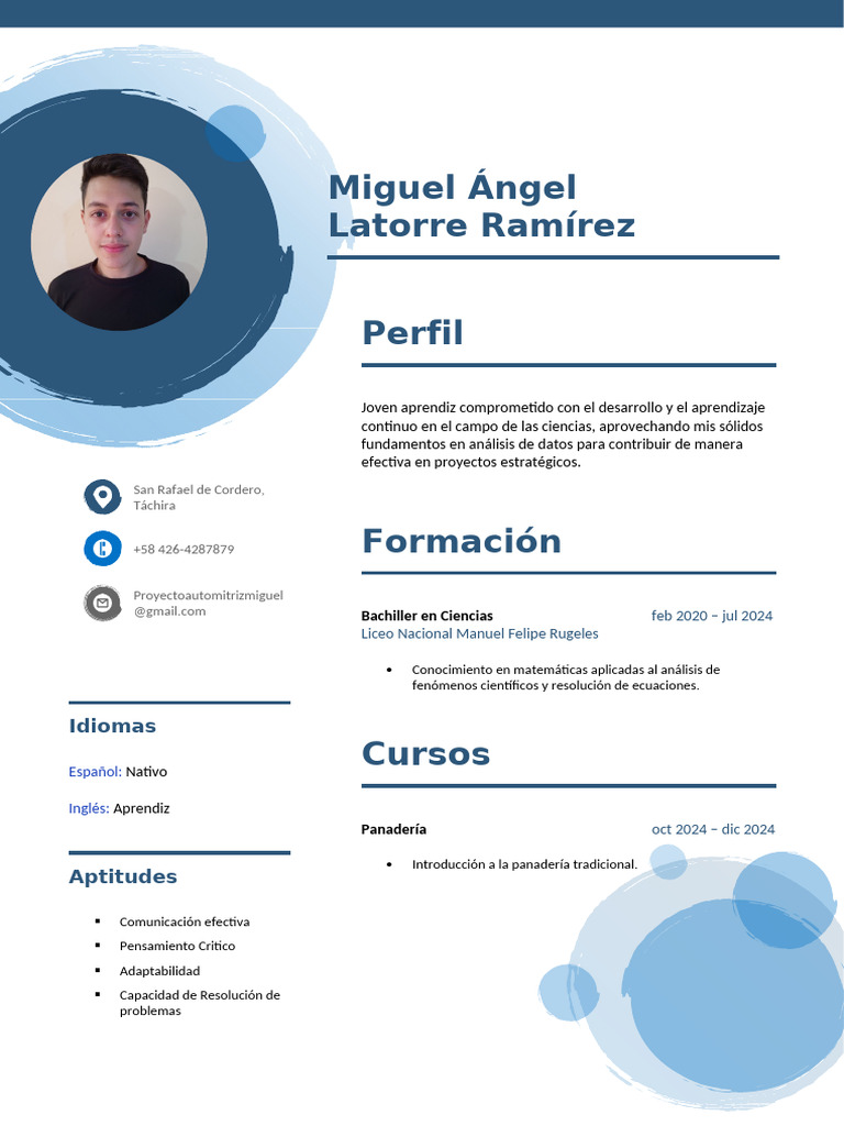 CV Miguel | PDF