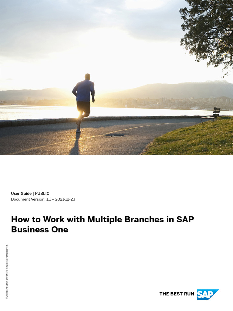 How To Work With Multiple Branches in SAP Business One | PDF | Menu (Computing) | Icon (Computing)