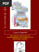 Quimo e Quilo | PDF | Digestão | Estômago