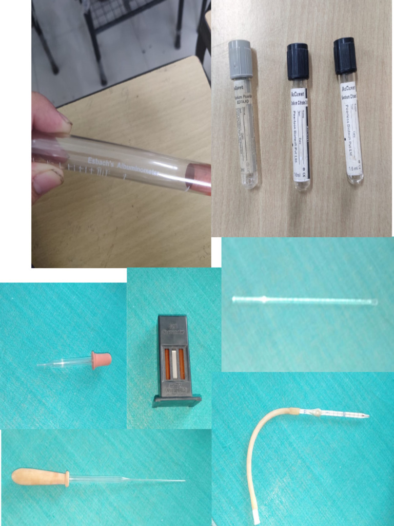 Patho and Micro Practical | PDF