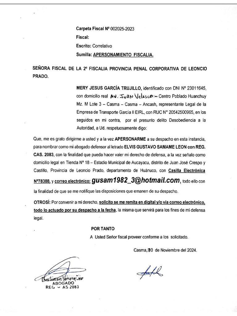 Apersonamiento Mery | PDF