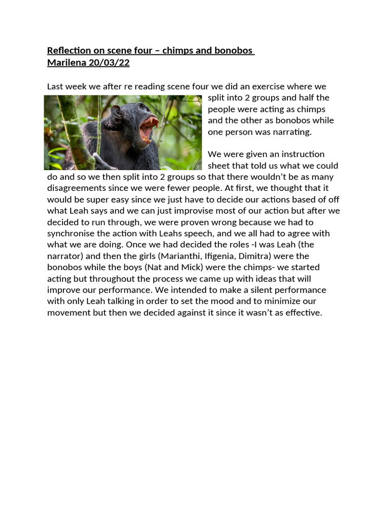 Drama Reflection Bonobos | PDF