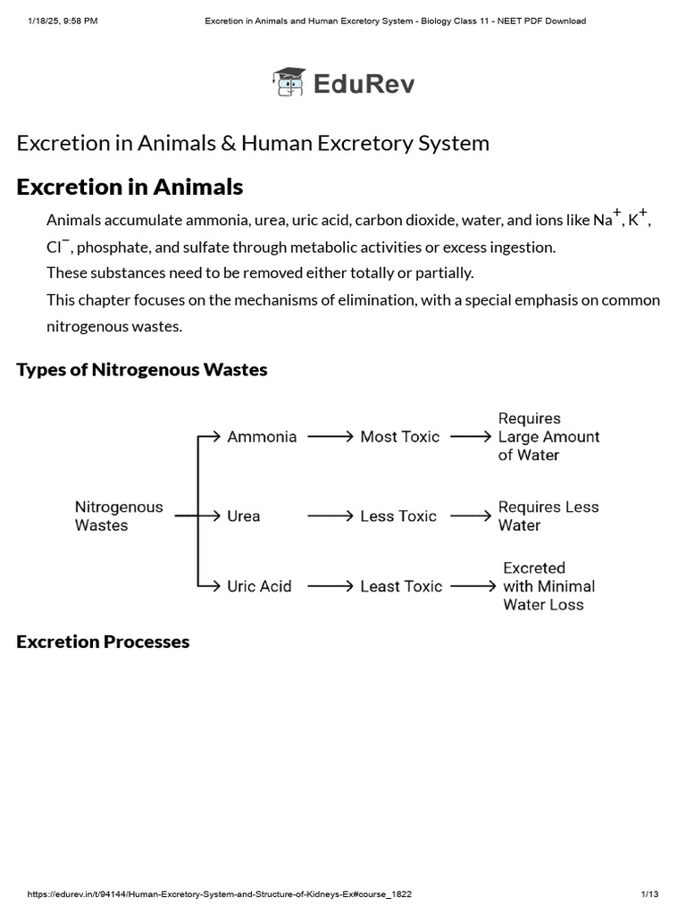 Excretion in Animals and Human Excretory System - Biology Class 11 ...