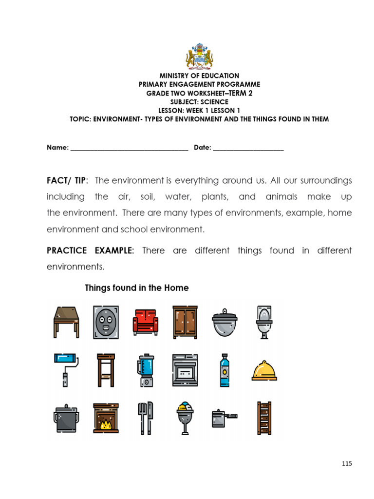 Grade 2 Science: Environment & Soil | PDF | Soil | Weather