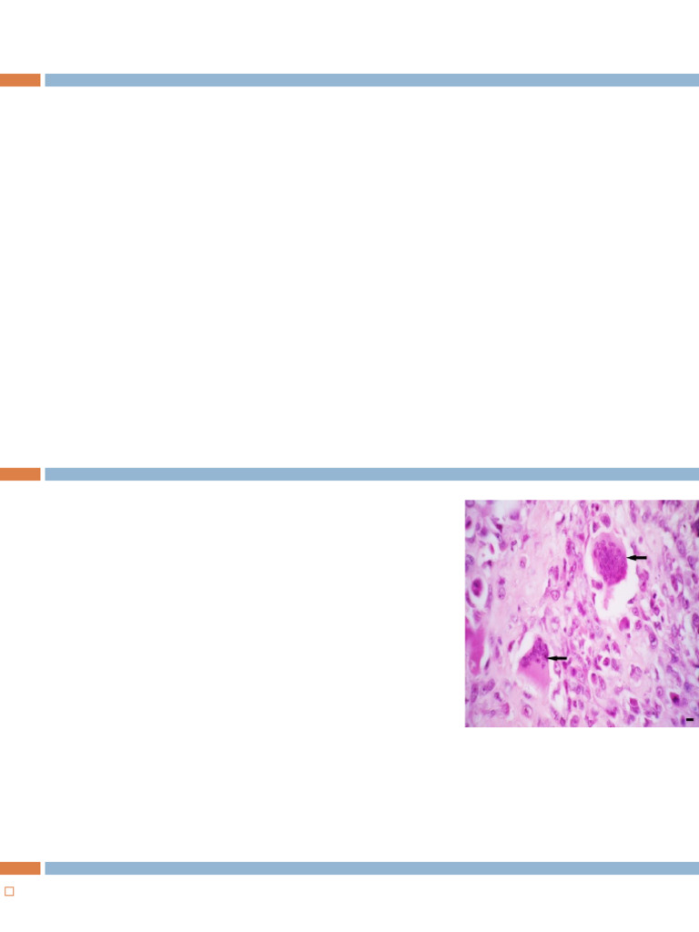 8. Giant Cell Lesions of the Jaws | PDF | Diseases And Disorders ...
