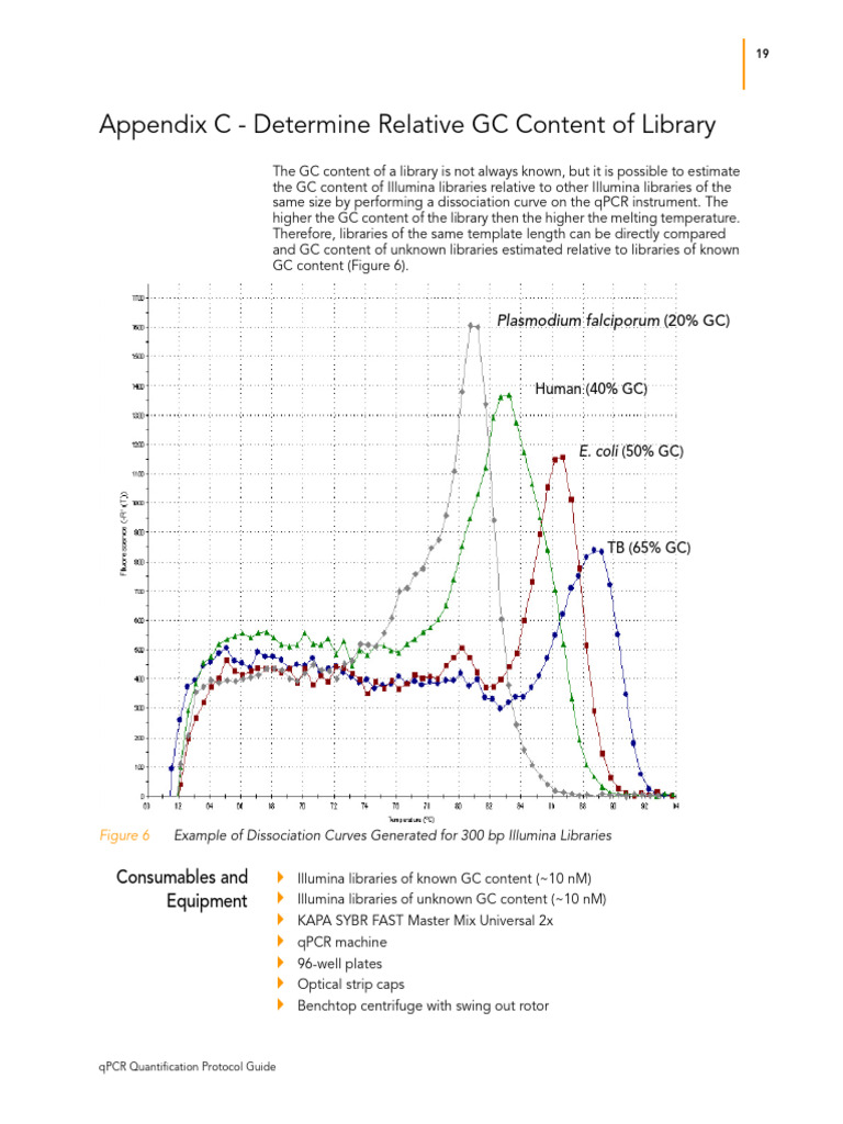 QPCR - Quant - Protocol - Guide - 11322363 - A 19 | PDF