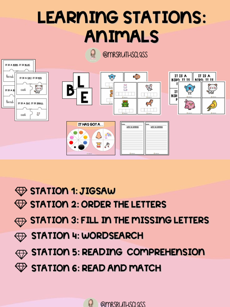Animal Learning Stations Activities | PDF