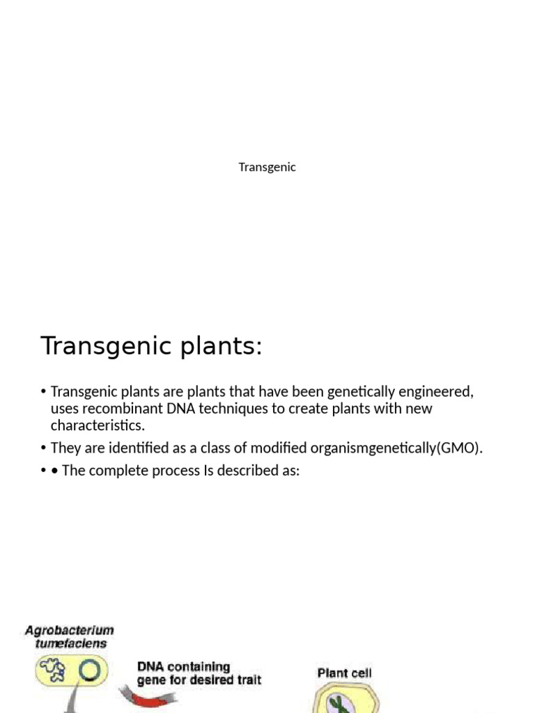 Presentation (1)ddsa | PDF