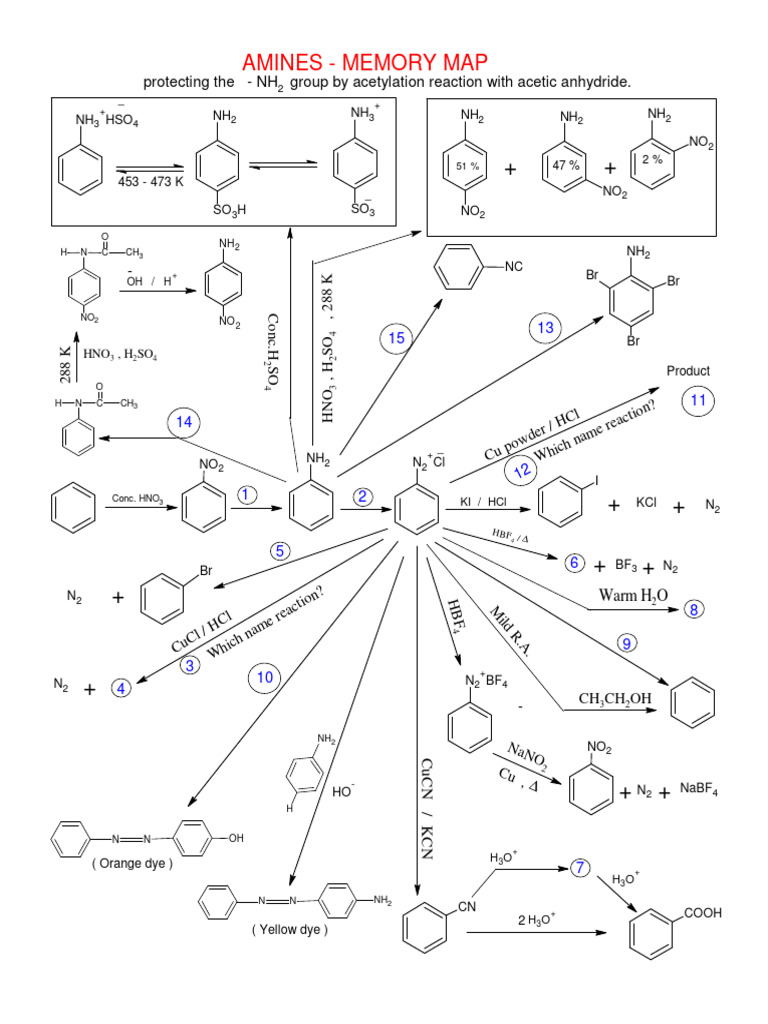 Mind Map Amines 2013 | PDF | Amine | Carbon Compounds