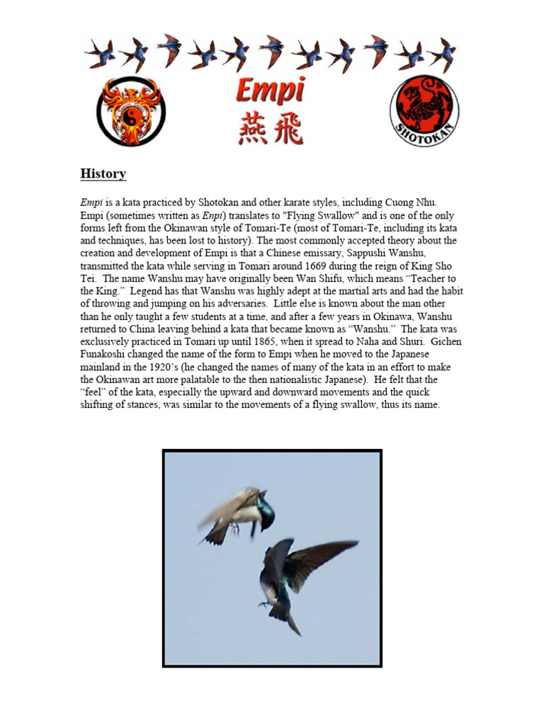 Empi Kata: History and Applications | PDF