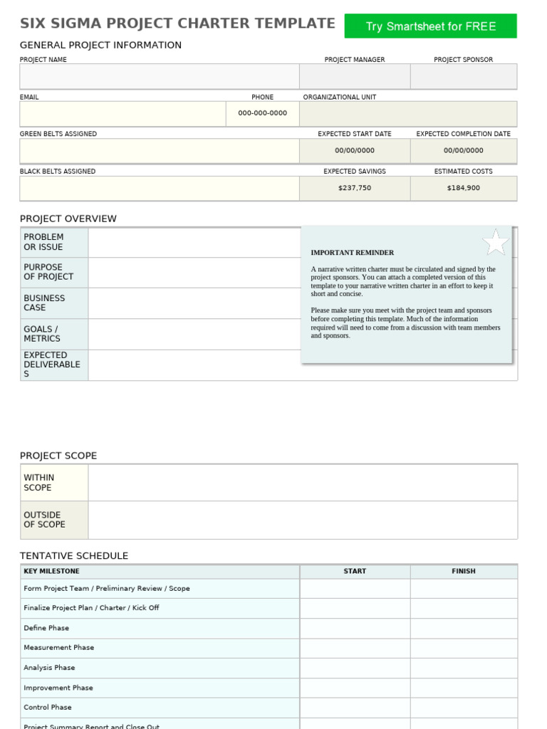 Six Sigma Project Charter Template | PDF | Reliability Engineering ...