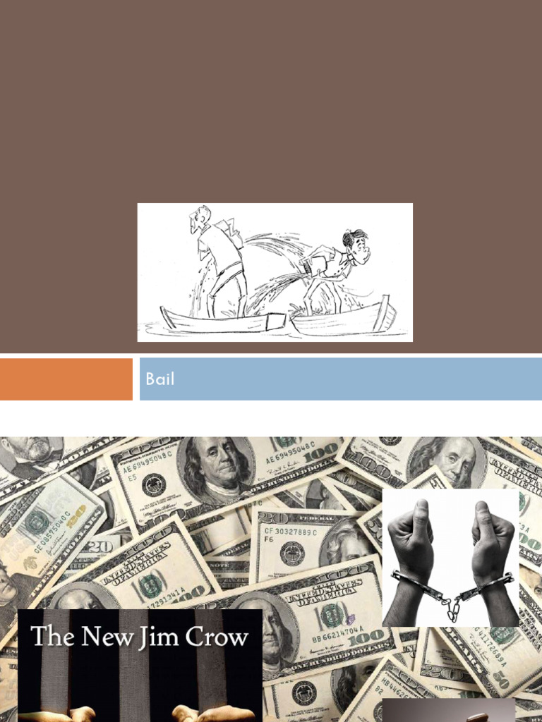 Bail-presentation | PDF | Bail | Burden Of Proof (Law)