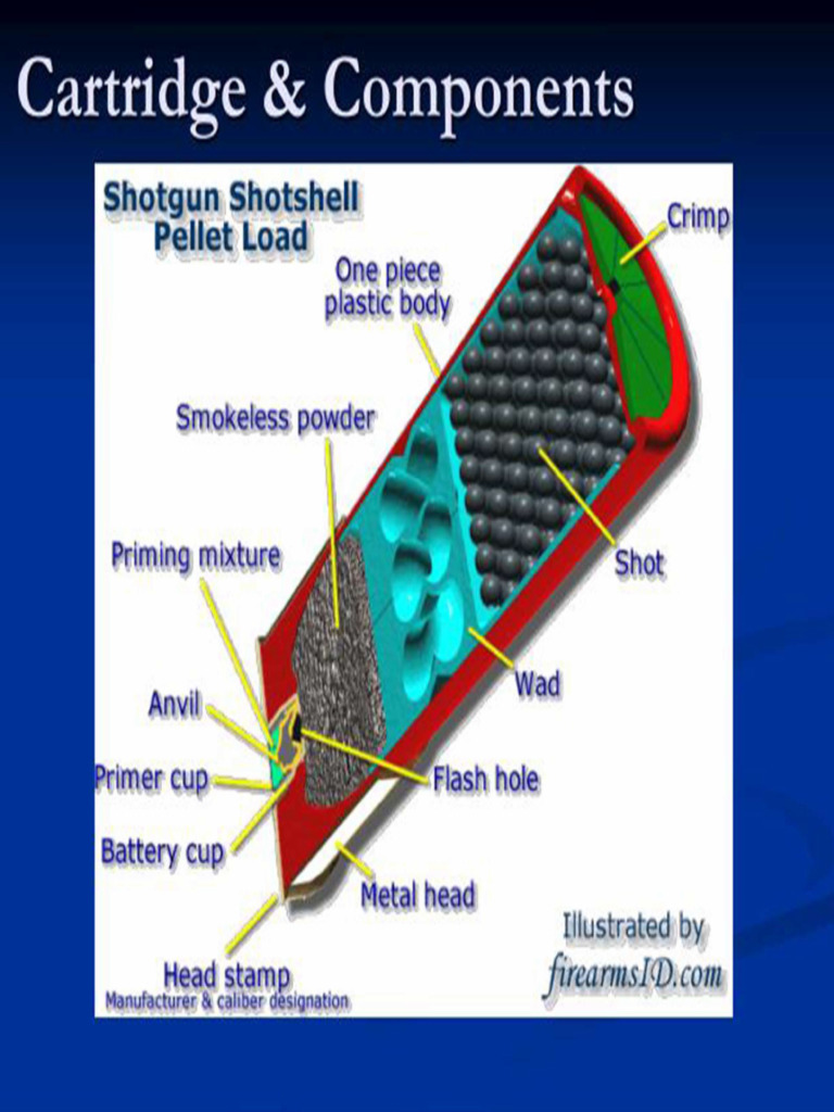 2X2 SHELL SHOTGUN | PDF