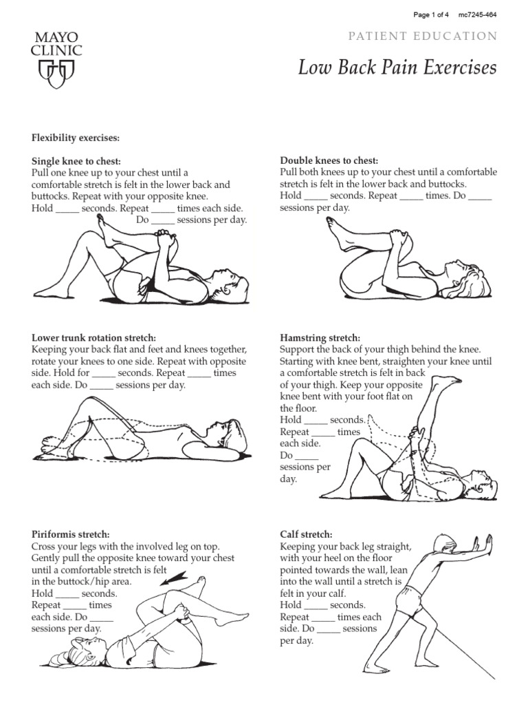 Exercise Protocol For Lower Back Pain | PDF | Pelvis | Knee