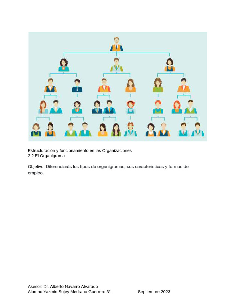 Estructura Ion y Funcionamiento en Las Organizaciones | PDF