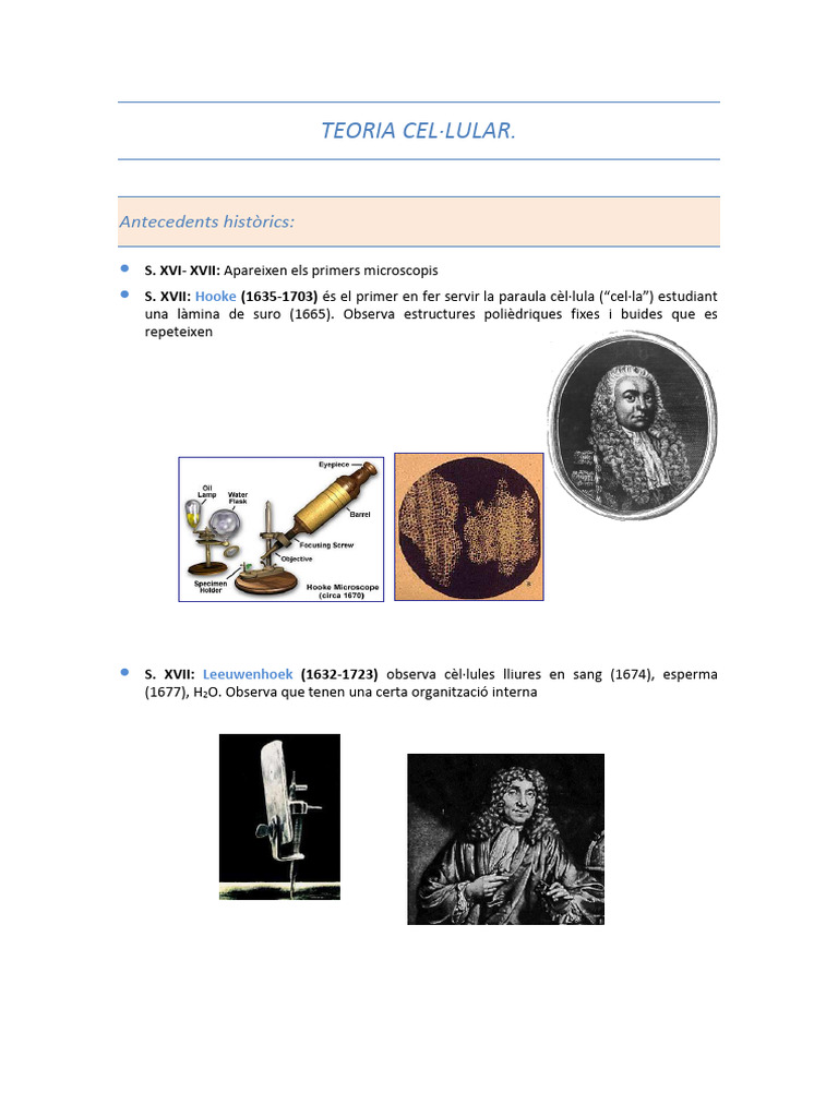 Tema 16 Teoria Cel Lular | PDF