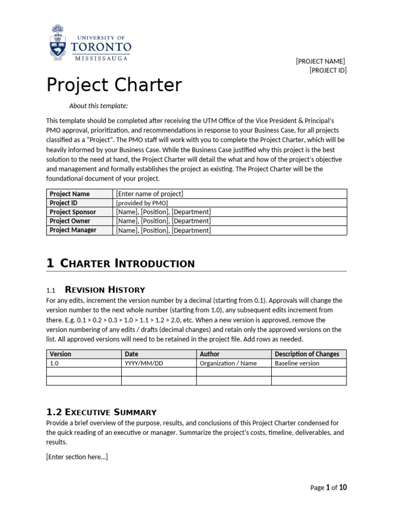 Project Charter | PDF | Goal | Risk