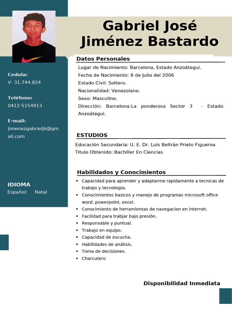 Curriculum Gabriel | PDF