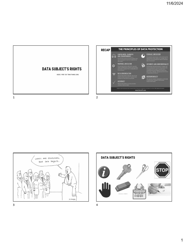 GDPR Data Rights Explained | PDF | Interoperability | Justice