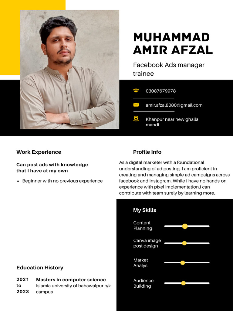 Amir's Resume | PDF