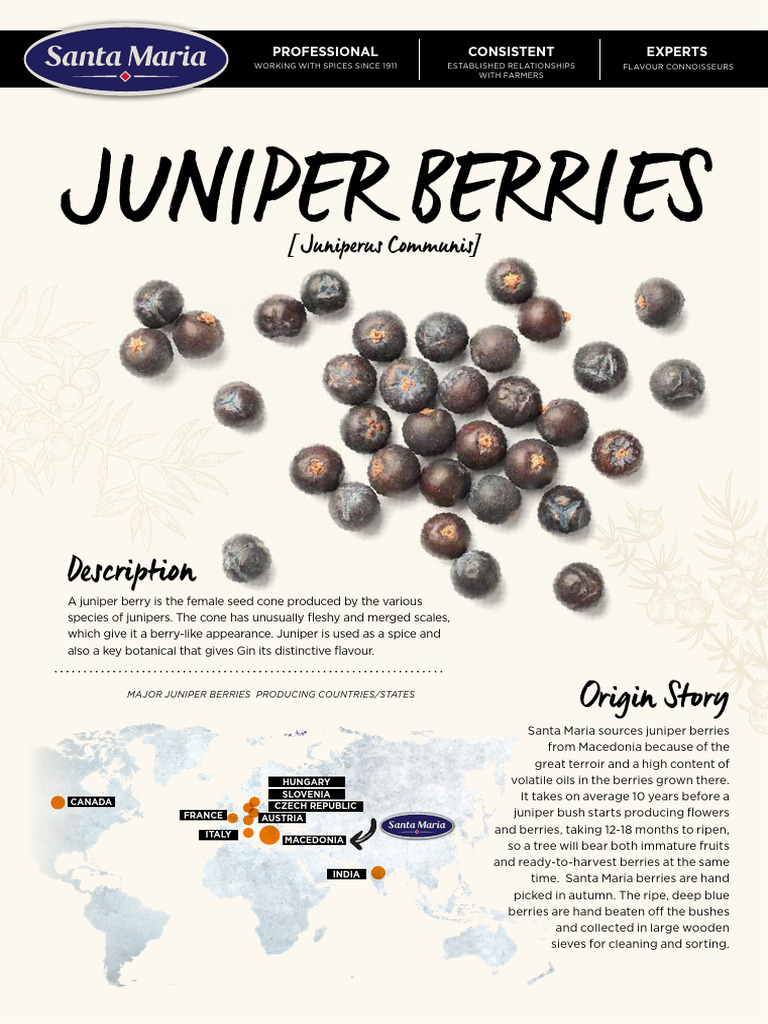 Juniper Berries Gin | PDF | Vegan Cuisine | Food Ingredients