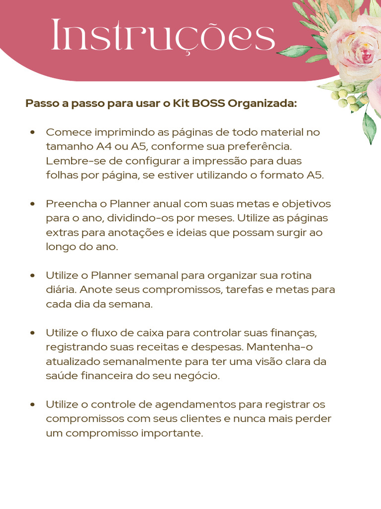 Guia Prático do Kit BOSS Organizada | PDF