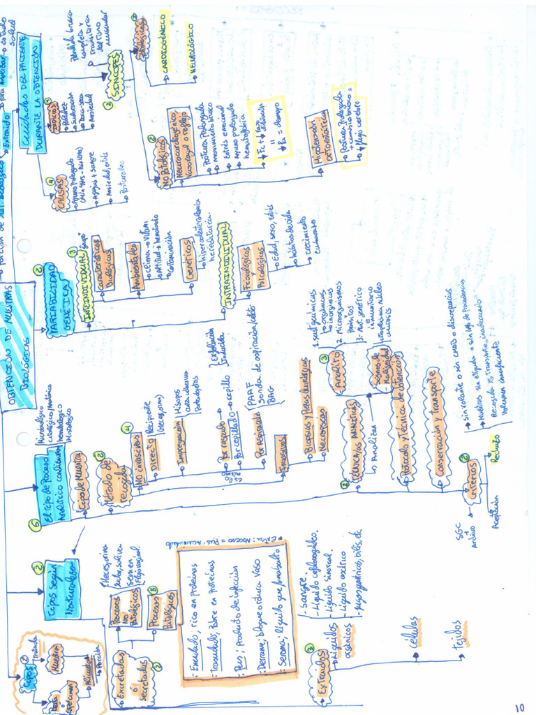 Esquemas GMB Generalidades | PDF