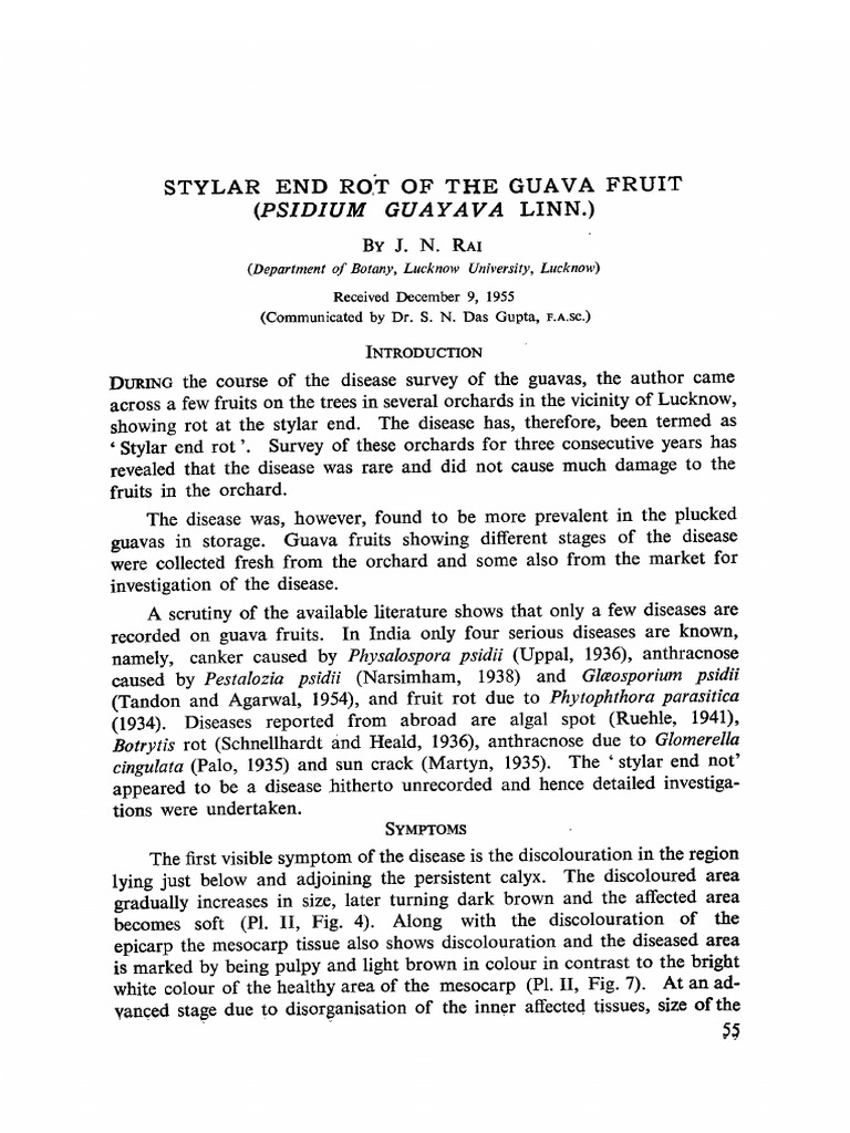 1956 - Stylar End Rot of The Guava Fruit (Psidium Guayava Linn) | PDF ...