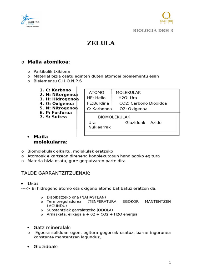4 Zelula - Sarrera Organizazio Maila | PDF