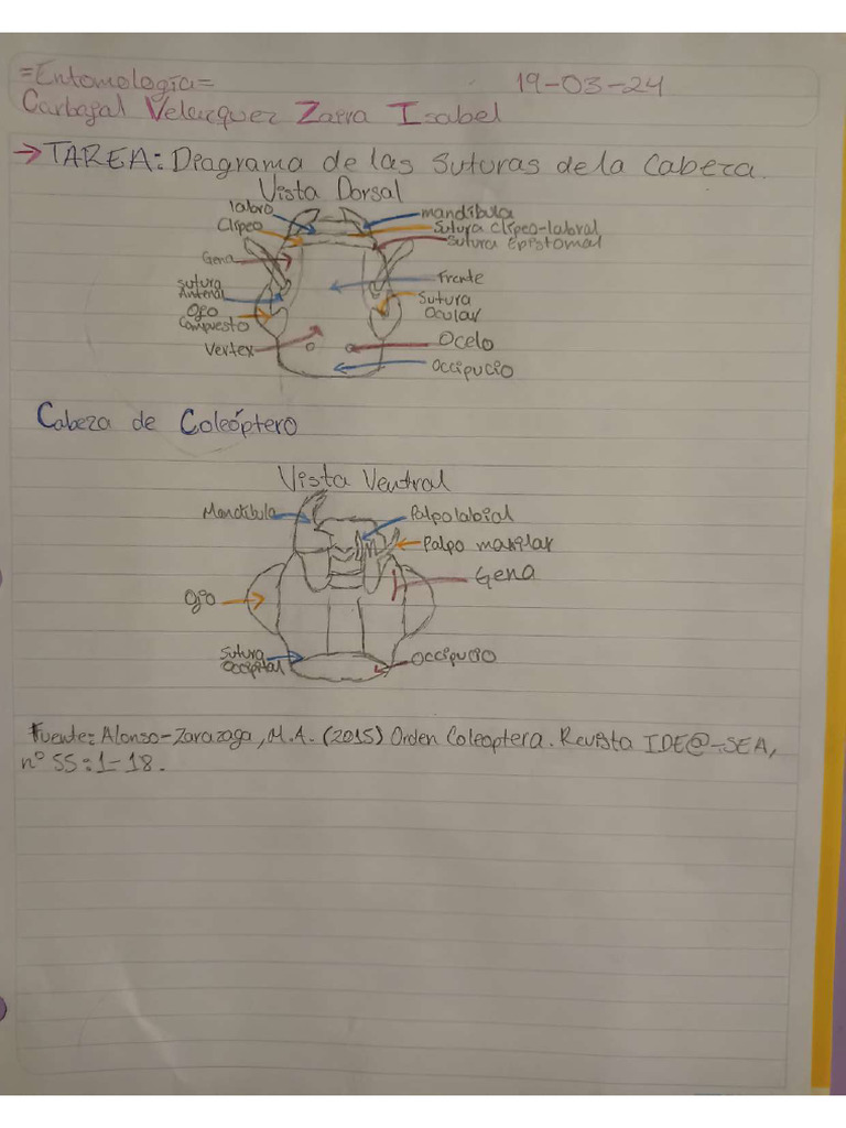 CarbajalZaira Tarea5 | PDF