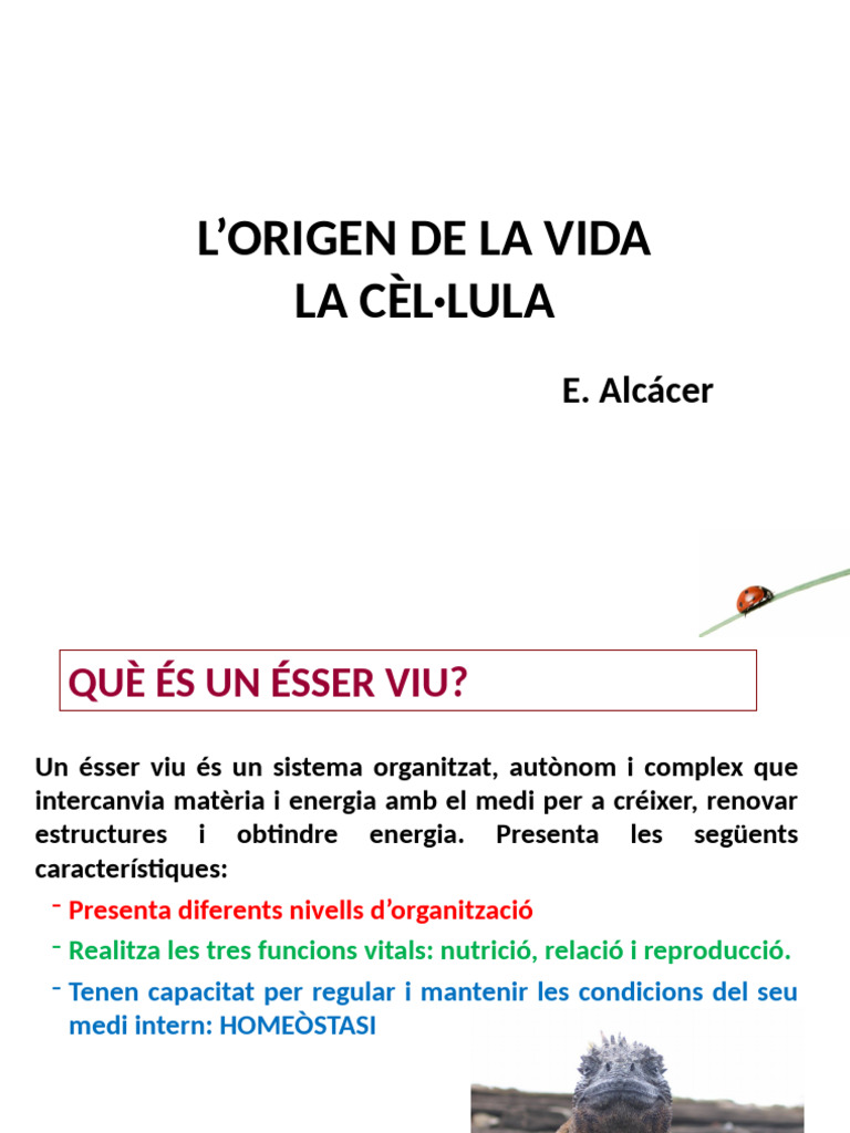 00_Lâ ORIGEN DE LA VIDA I LA CELLULA EAT 2 | PDF