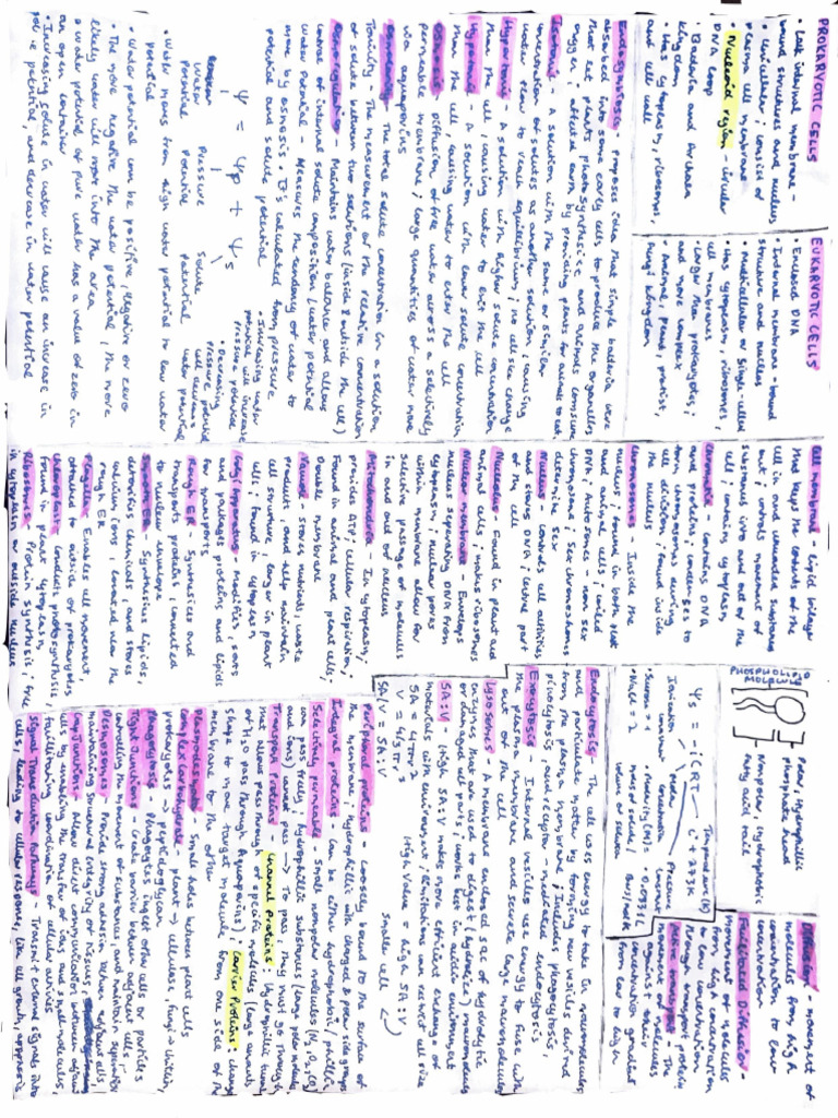 AP Biology Unit 2 Review | PDF