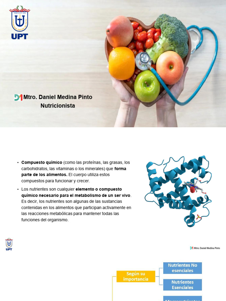 Guía Completa de Macronutrientes | PDF | Nutrientes | Lípido