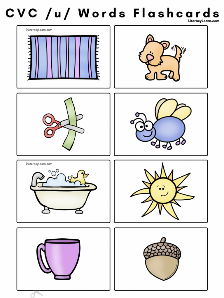 Short U Flashcards LiteracyLearn.com | PDF