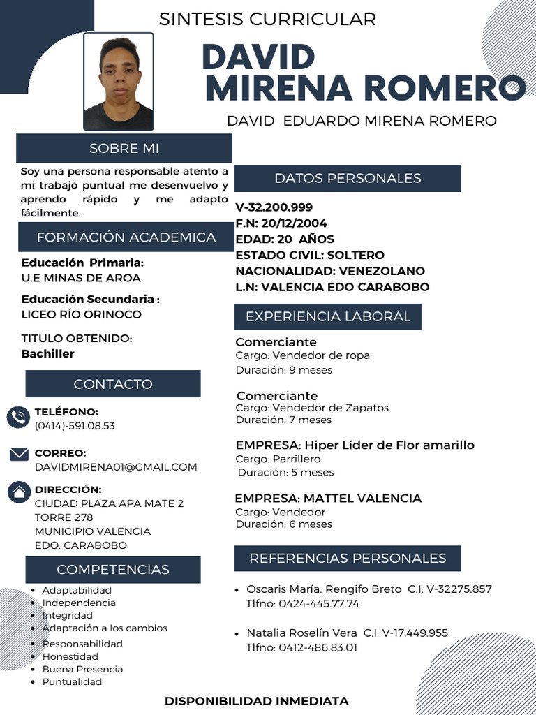 Curriculum David Mirena | PDF