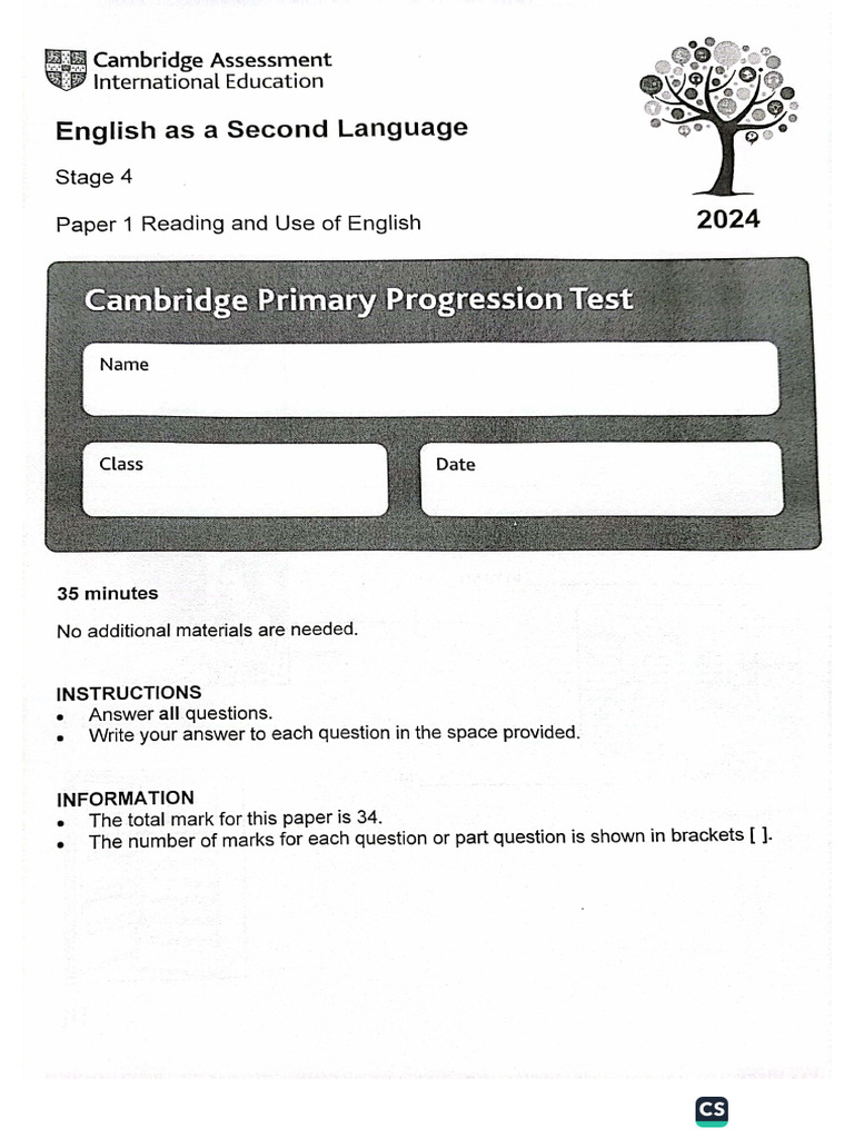 English 2025 Overview and Insights | PDF