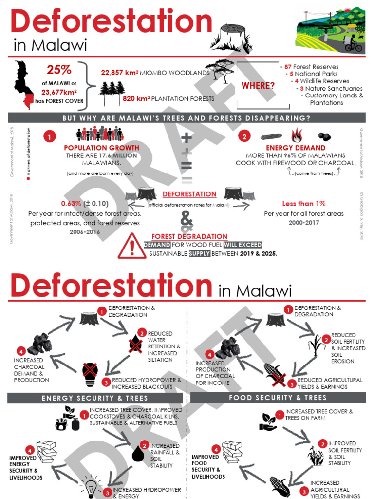 04-Deforestation in Malawi | PDF | Deforestation | Forests