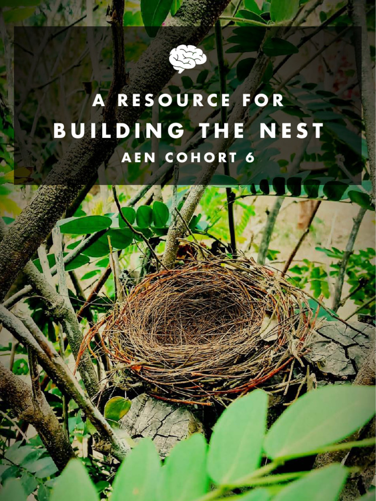 Building The Nest | PDF | Educational Assessment | Feeling