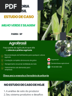 Concorde ICL Brazil | PDF | Agricultura