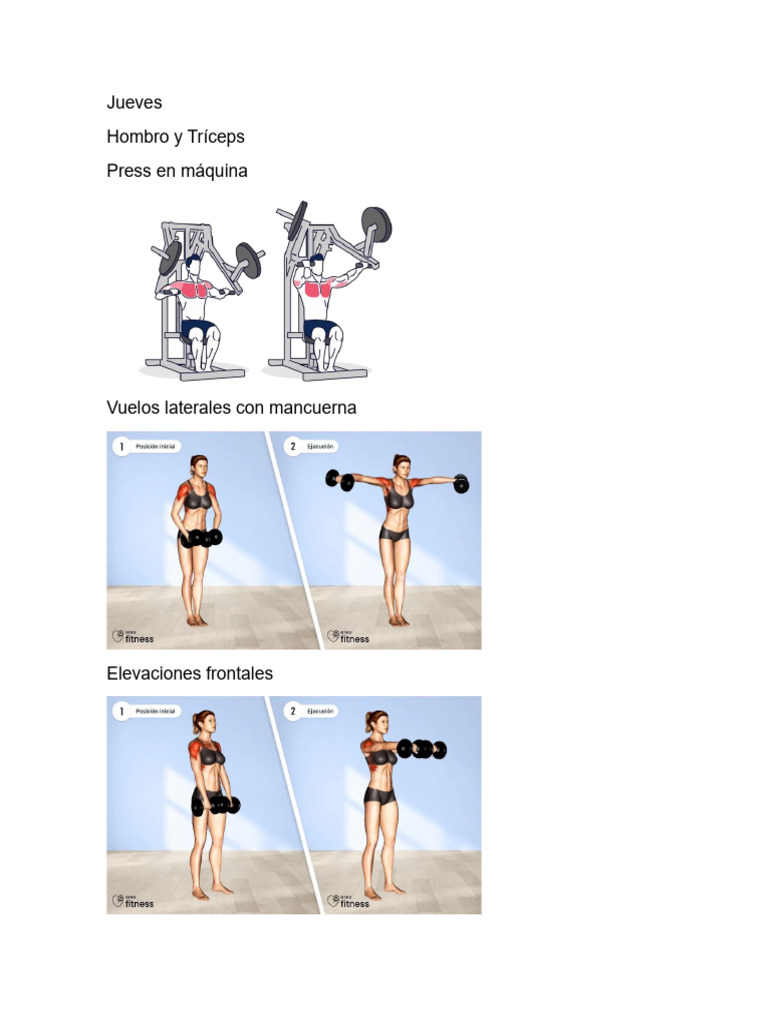 Jueves - Hombro y Tríceps | PDF