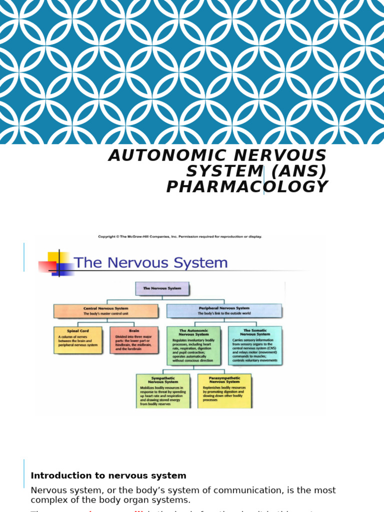 Autonomic Nervous System (ANS) Pharmacology | PDF | Acetylcholine ...