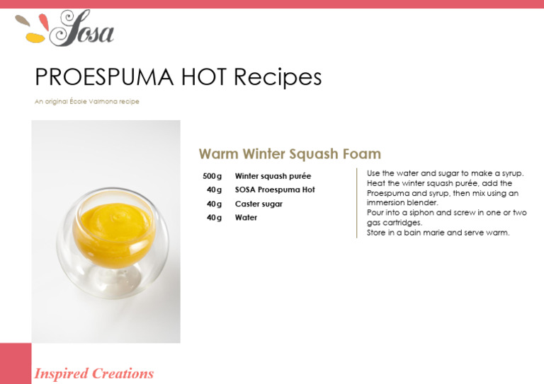 Recipes PROESPUMA à CHAUD Multiple | PDF