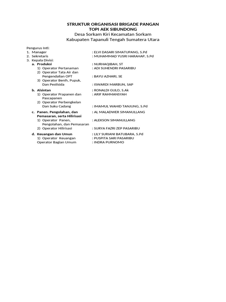 Format Struktur Organisasi | PDF