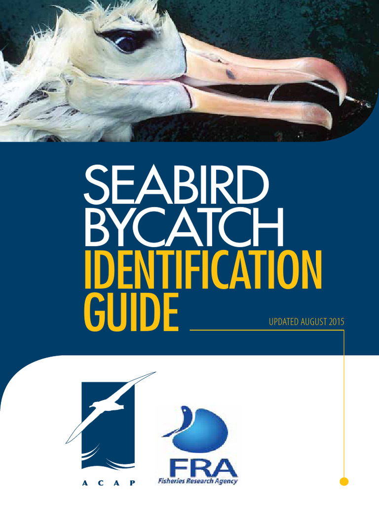 Seabird Bycatch Identification Guide | PDF | Seabird | Ornithology