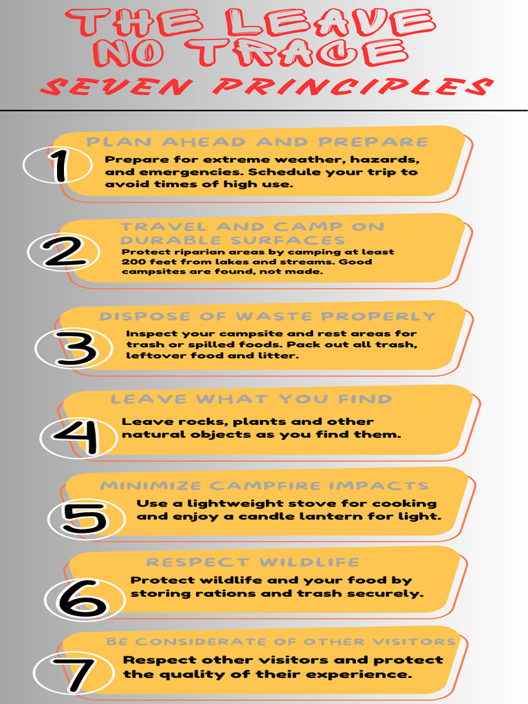 White Colorful Modern Timeline Design Process Infographic PDF | PDF